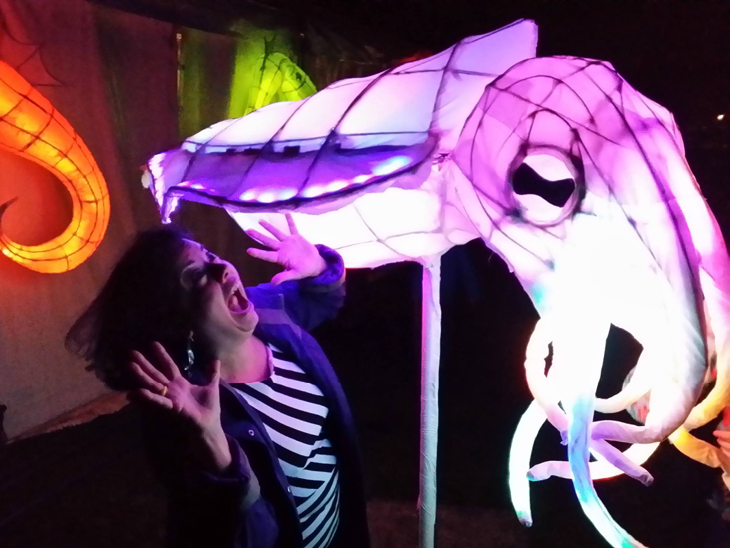 Gallery16 – Same Sky